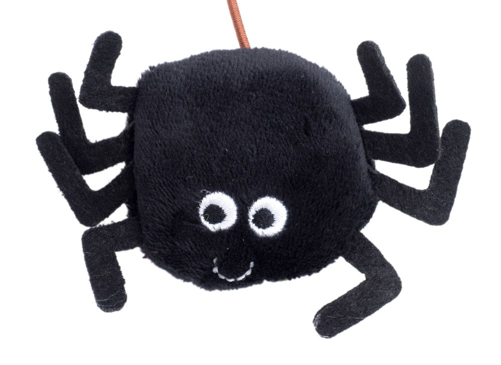 CATKINS CATNIP SPIDER TEASER CAT TOY : Petface by LeisureGrow Products Ltd