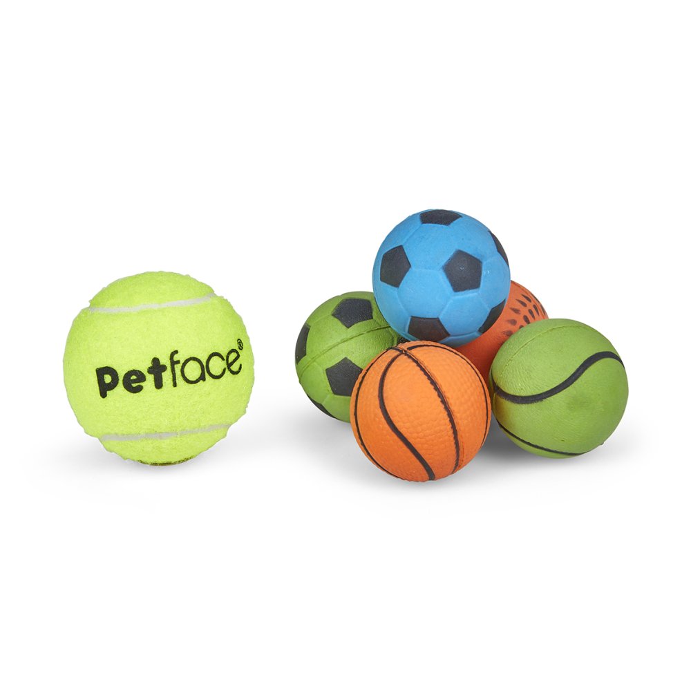 5 PACK MINI SPONGE BALLS DOG TOY : Petface by LeisureGrow Products Ltd
